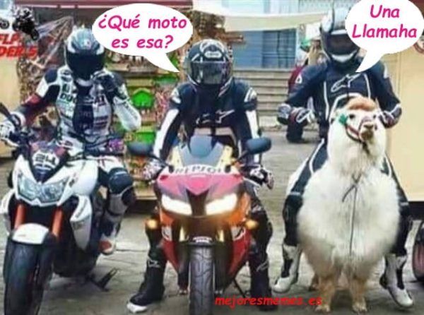100 Memes de Motos - Donkey Motorbikes